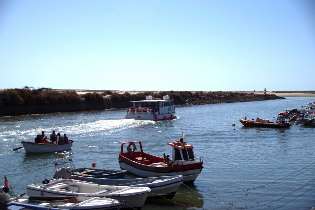 Visita la Isla de Armona