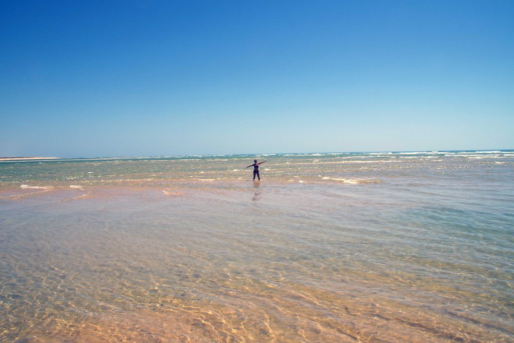 Visita la Isla de Armona